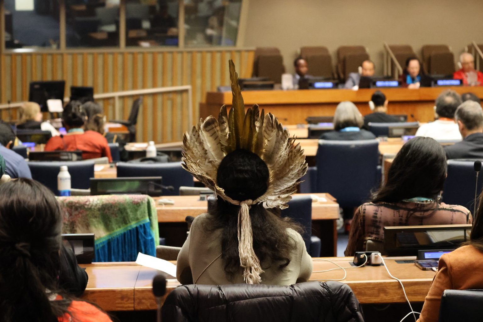 United Nations Permanent Forum on Indigenous Issues 2025 - Office of ...